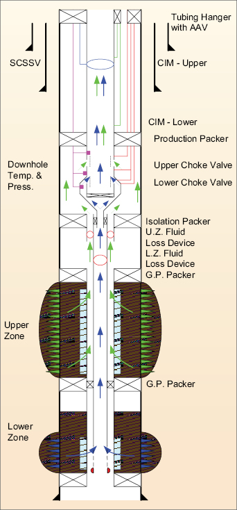 Where simple is never simple, operators aim for simplicity in deepwater ...